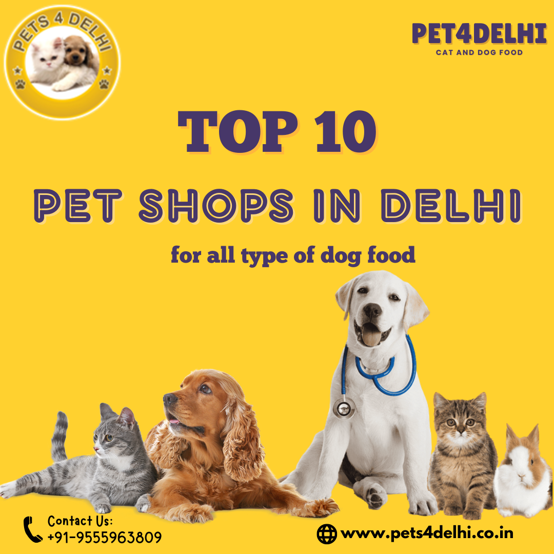 Top 10 Pet Shops in Delhi, India | Online Pet Store in Delhi